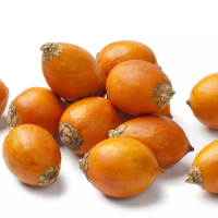 The best awara broth recipe | Europcar French Guiana