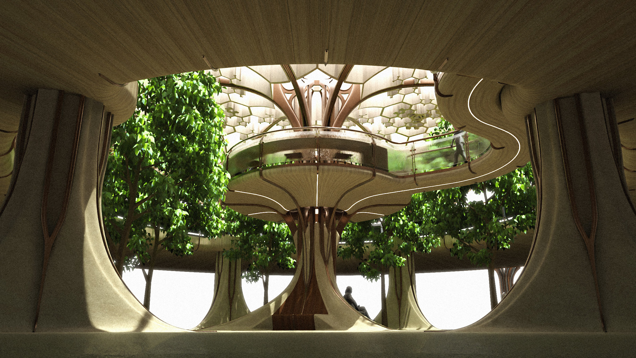 The Forest of Possibility