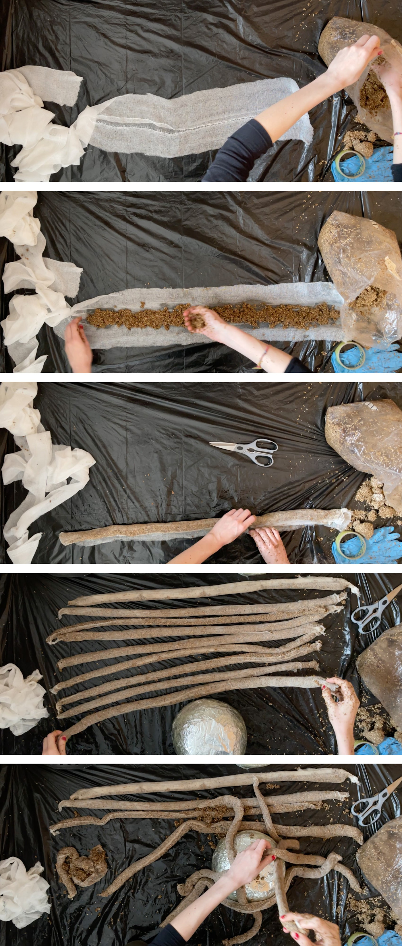 Interwoven Structures