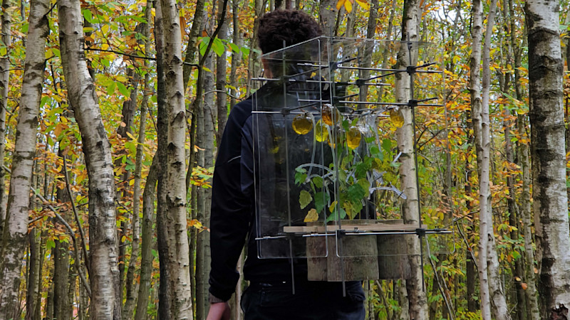 Graft / Seeding Cities