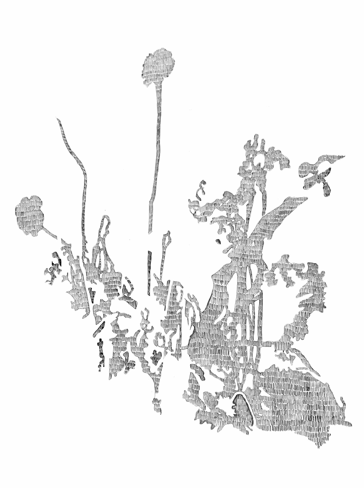 Sun Sufficient Drawing