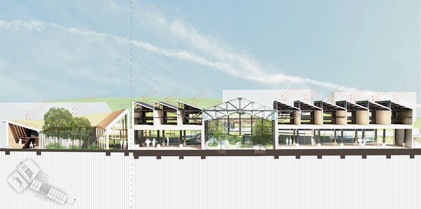 Green Basque Gastronomy