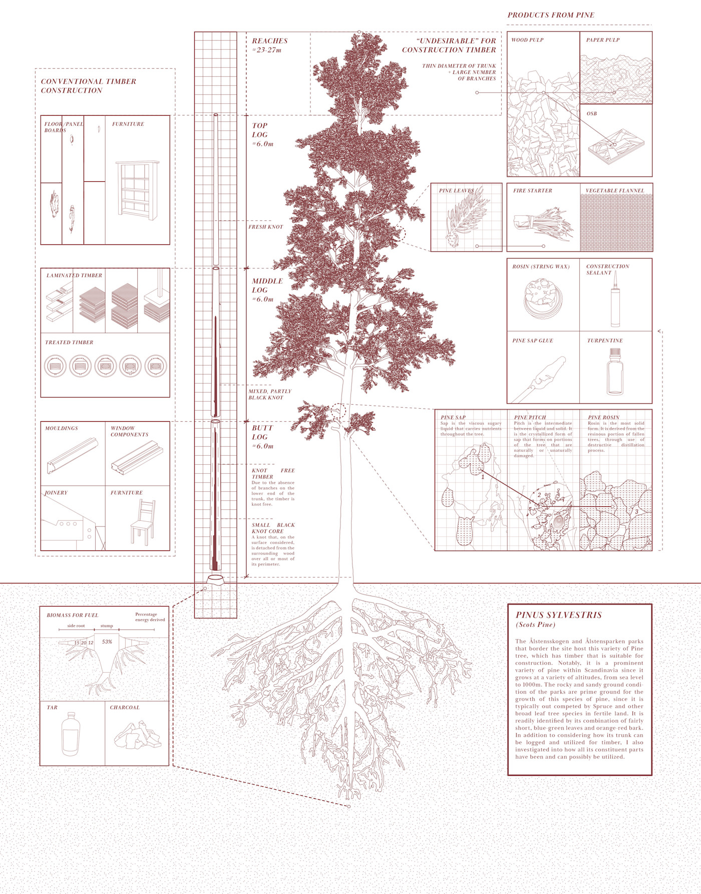 One Tree Manual: Towards a Better Timber Architecture