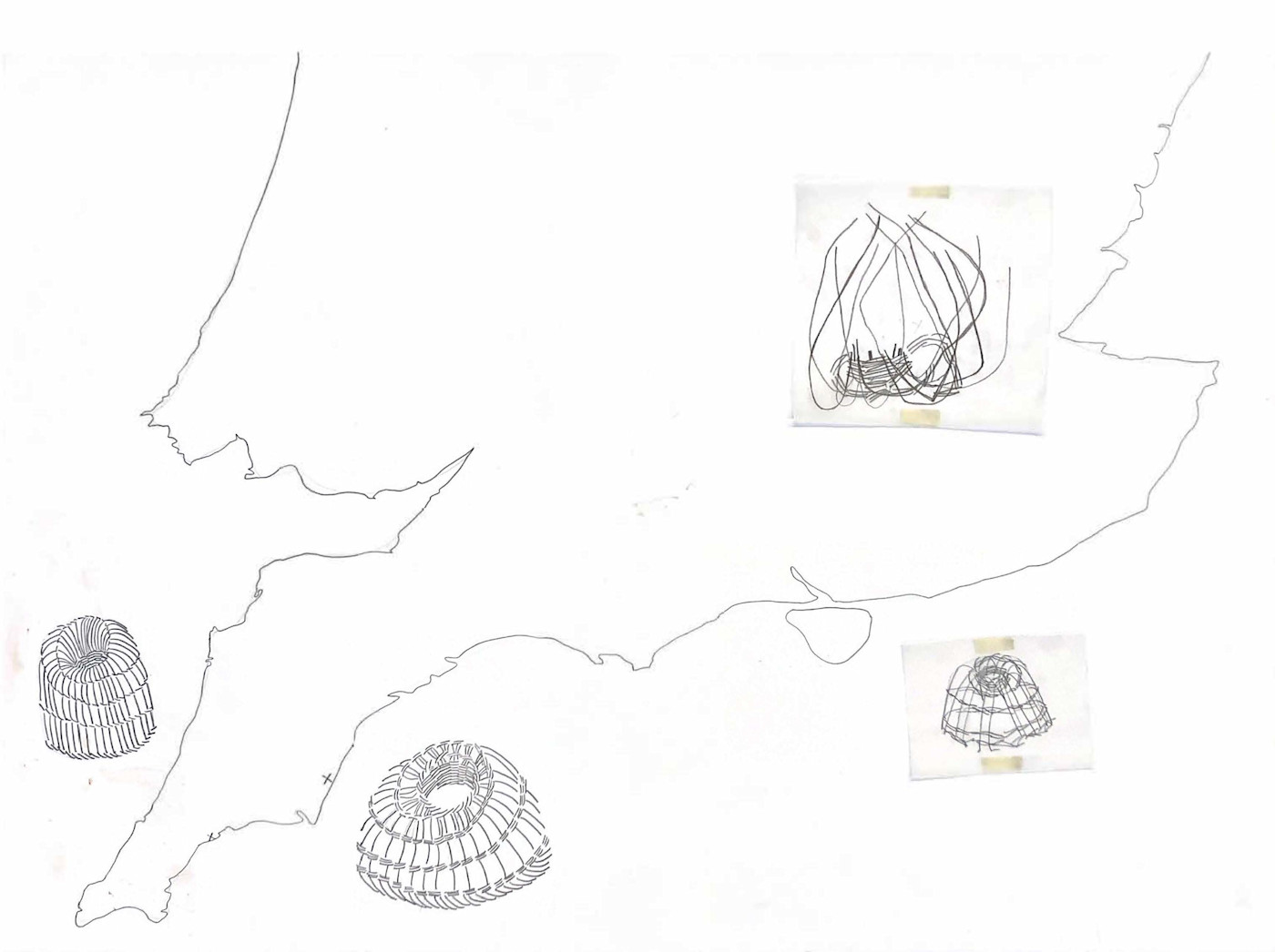 Withy Pots for London