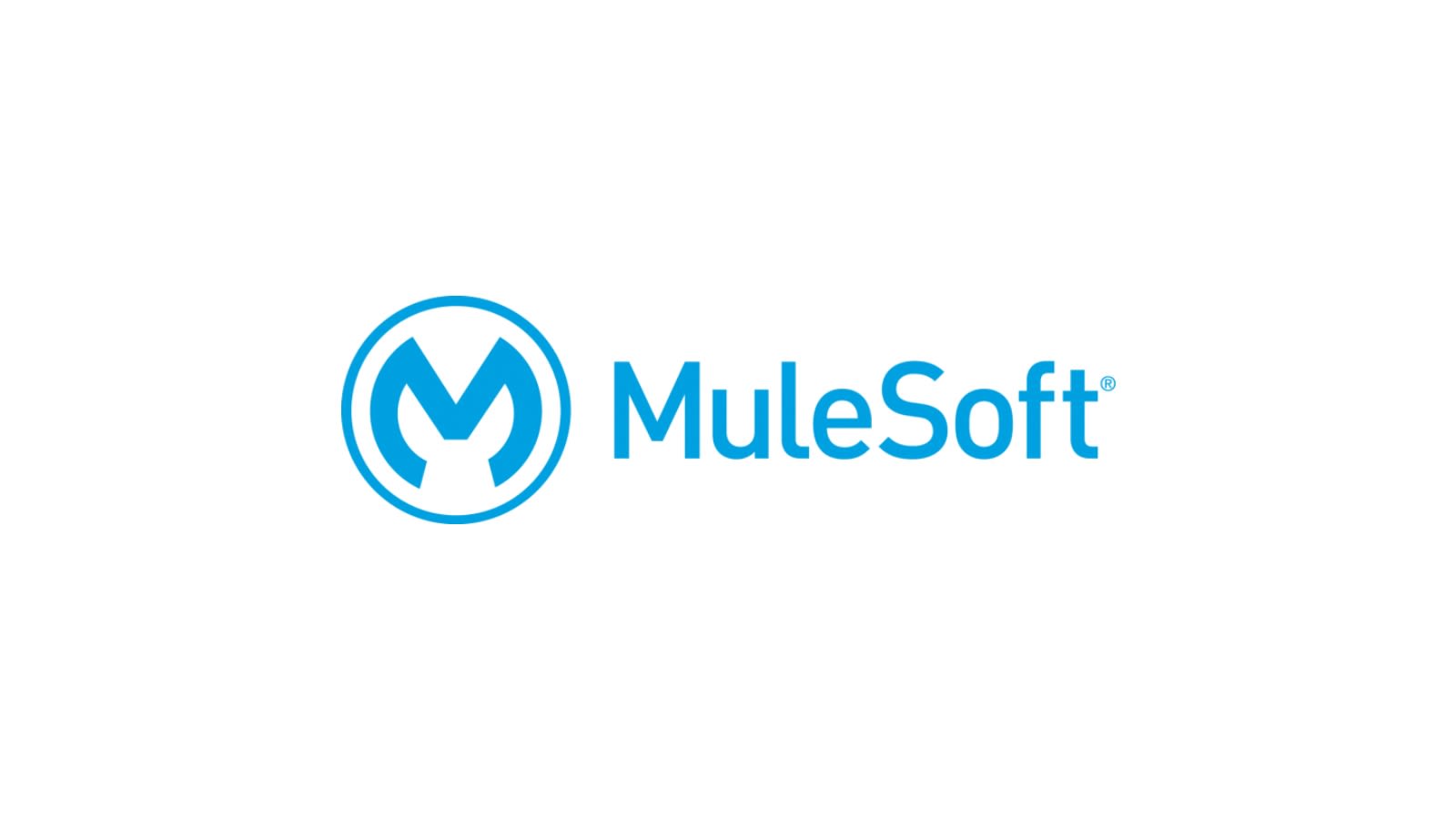 Integration Matters: Datenintegration mit MuleSoft Integration Matters: Datenintegration mit MuleSoft