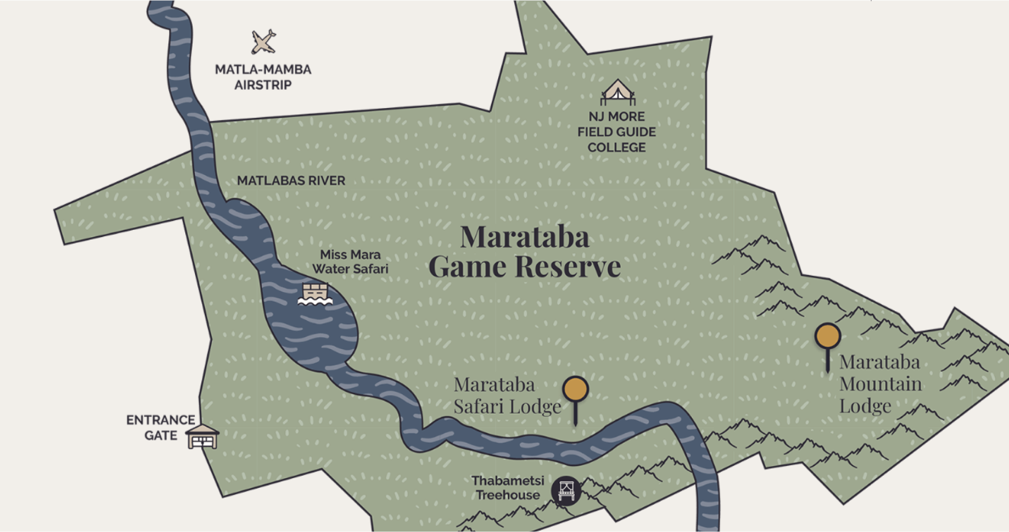 MORE Family Collection