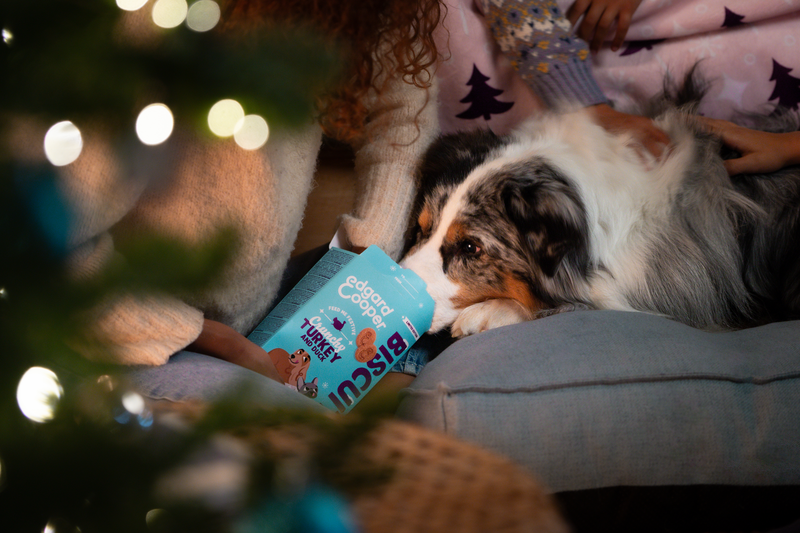 Pack Festif Adultes | Edgard & Cooper