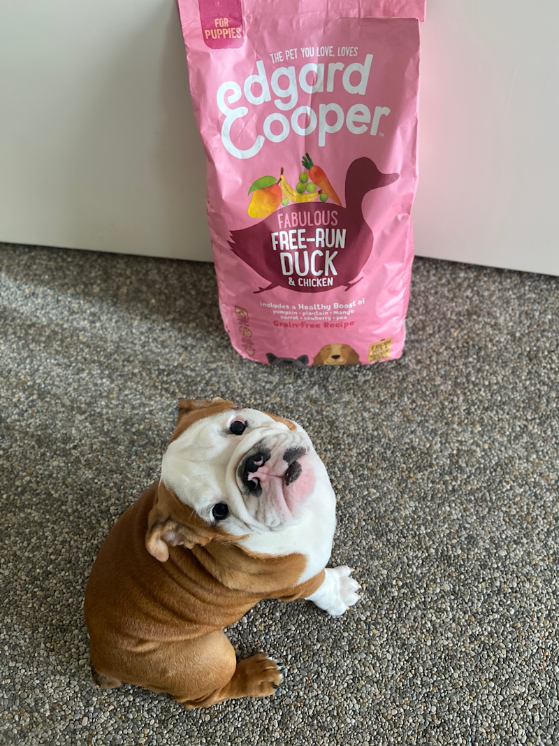 Naturally Tasty Cat & Dog Food | Edgard & Cooper