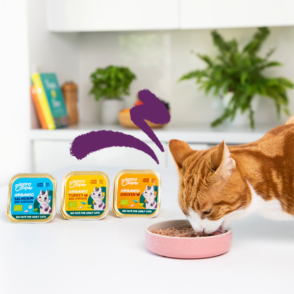 Organic Chicken Grain-Free Paté for Cats | Edgard & Cooper