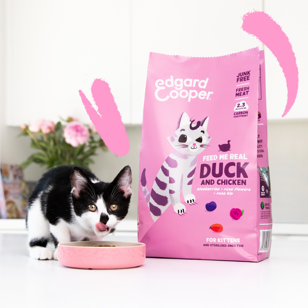 Duck and Chicken Grain-Free Kibble for Kittens | Edgard & Cooper ...