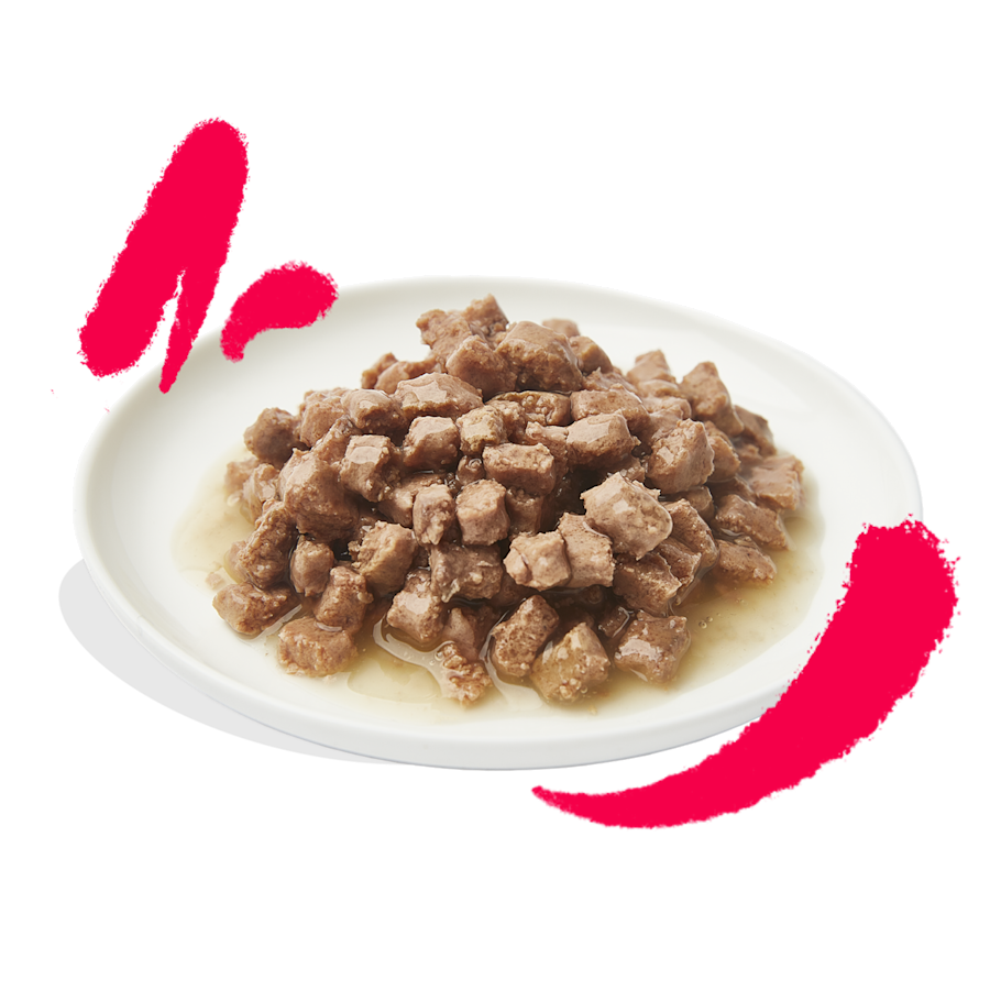 Trozos de pollo y pavo sin cereales en salsa para gatos adultos ...