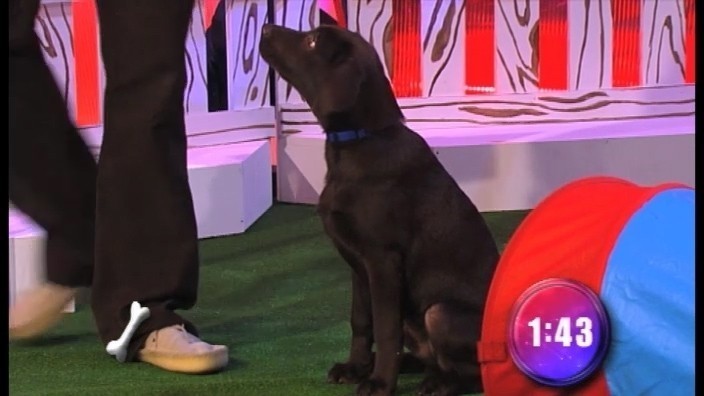 Ronnie vs Pudding | Saturday Night Takeaway