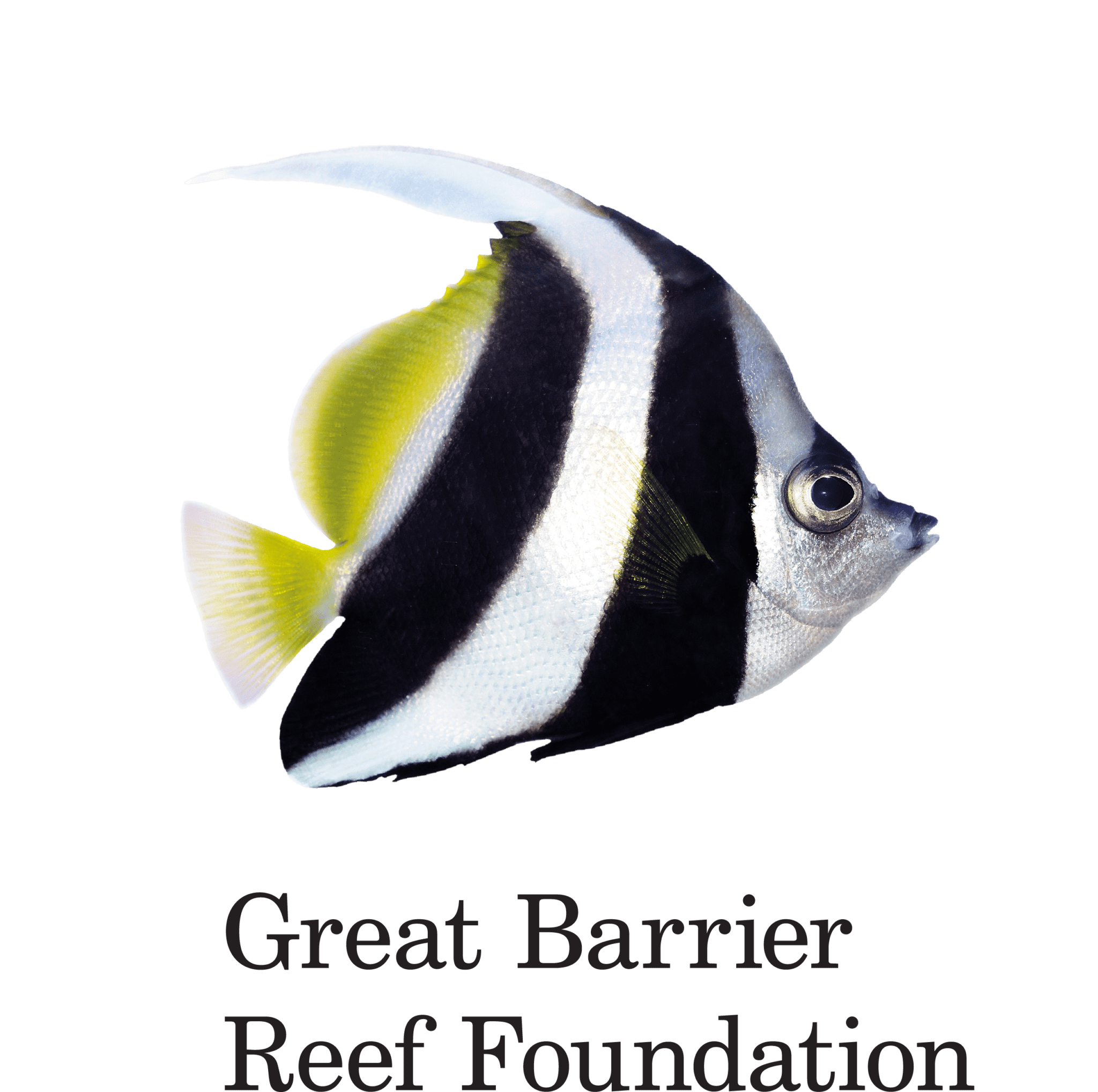 Your Club Your Lions: Abertillery Blaenau Gwent RFC - The British ...