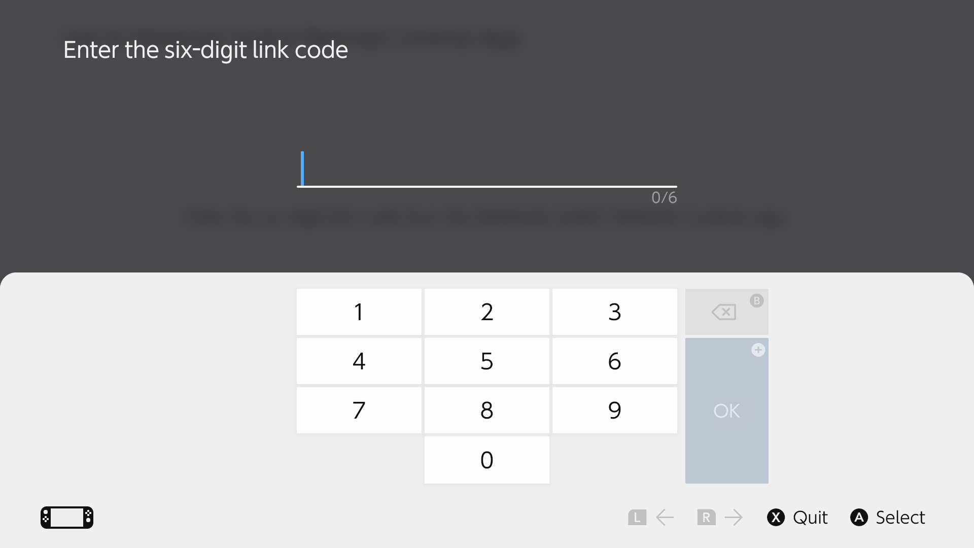Checking Password or PIN Types and their Input Locations | Nintendo ...