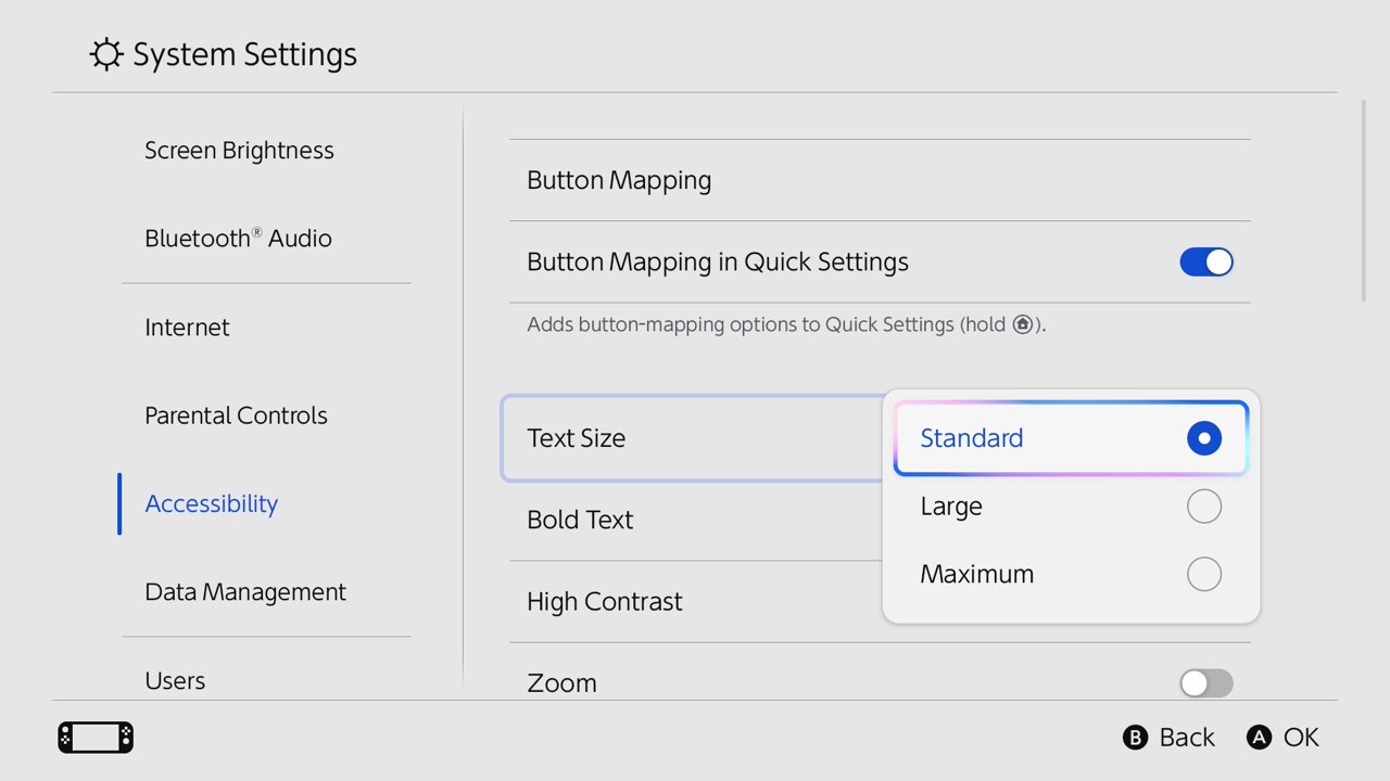 Using the Accessibility Features | Nintendo Switch 2 Support | Nintendo ...