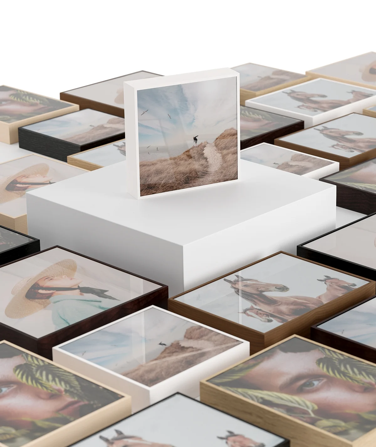 digital camera artbox