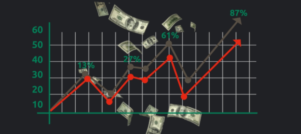 Discover The Impact of SEO on Your Website | Denamiq