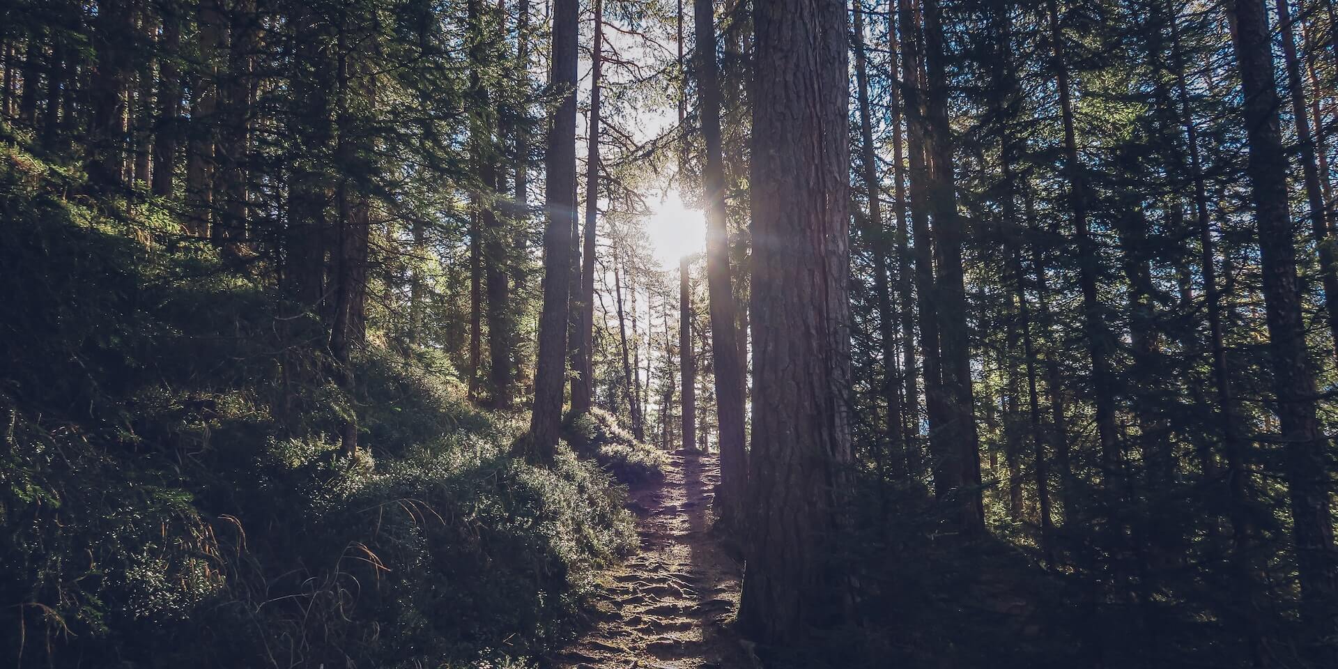 New Hyper Intelligent Automation Landscape 2020 Research | UiPath