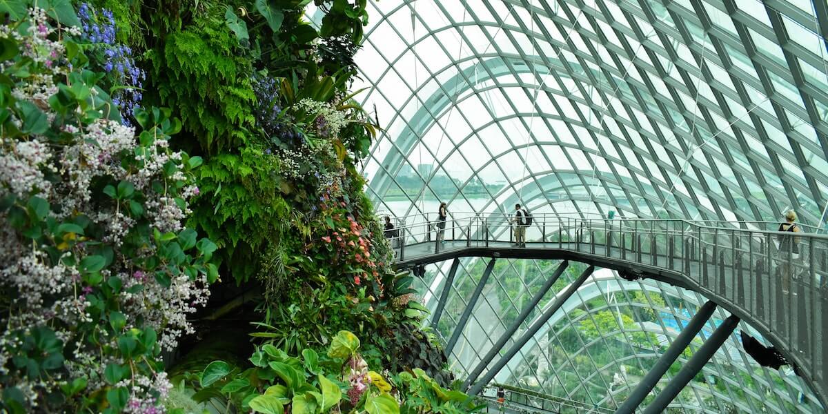 How To Green Your Business With Process Mining and RPA | UiPath