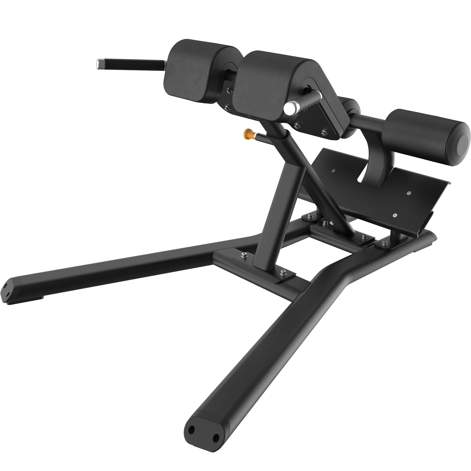 BACK EXTENSION - Vitality™ Benches & Racks | Products | Precor