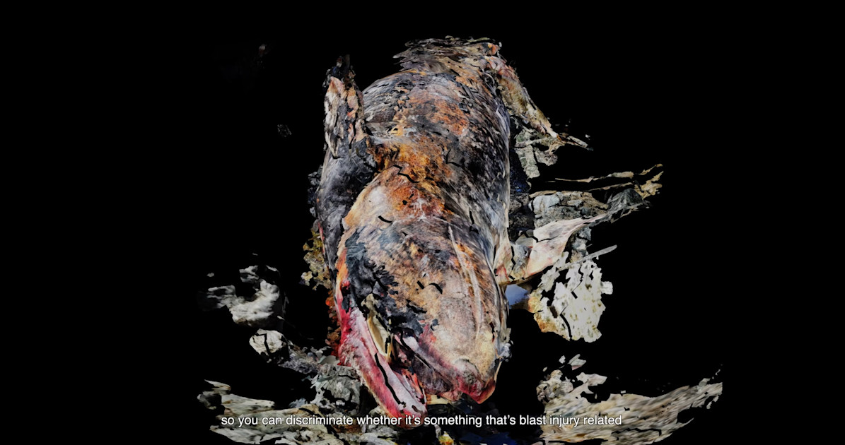 BIFF X0 Program 2: Sky / Earth / Water | Buffalo International Film ...