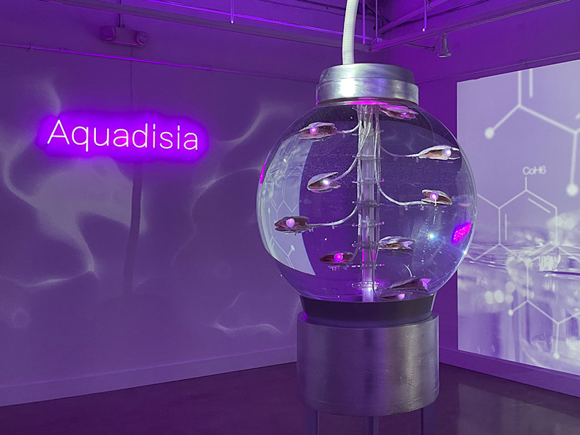 BIFF OFFSCREEN: Science Meets Sentience 2.0 | 2024 Archive | Buffalo International Film Festival