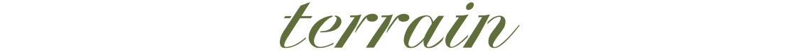 Terrain