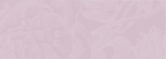 Shop Intimates, Lingerie, & Sleepwear | Anthropologie