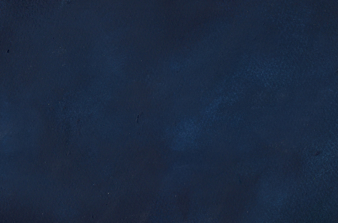 Forest Song: A Closer Look at Our Denim Window Displays