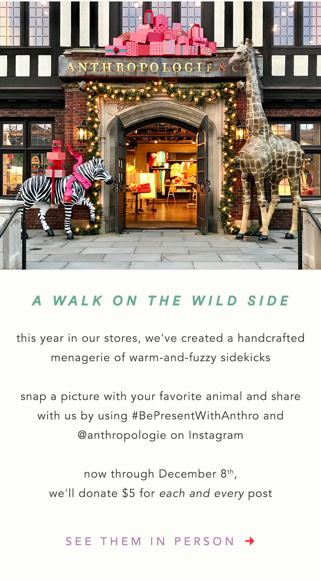 Be Present With Anthro