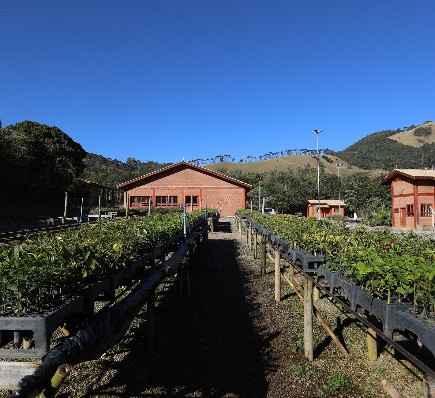 Honoring Earth Month with One Tree Planted