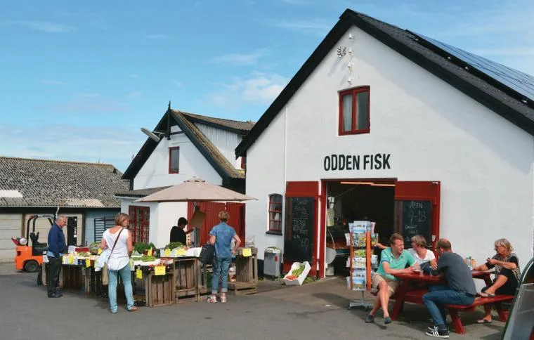 Holiday accommodation in Denmark I Rörvig I NOVASOL