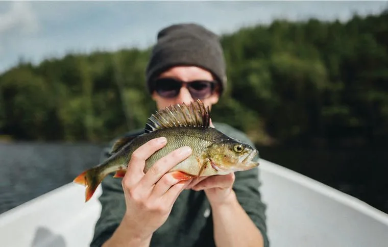 Visvakantie in Zweden | NOVASOL