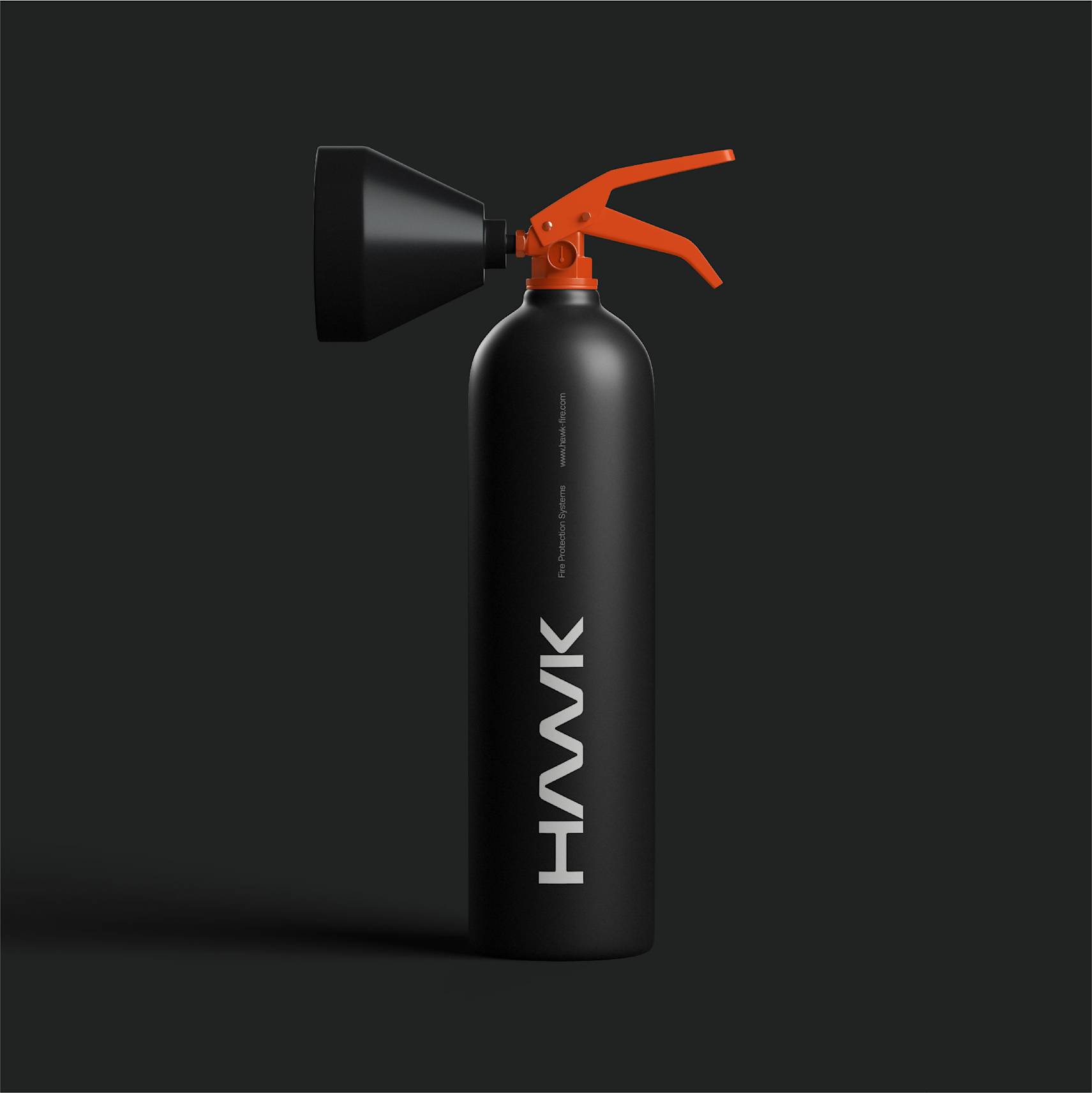 A New Brand Takes Flight