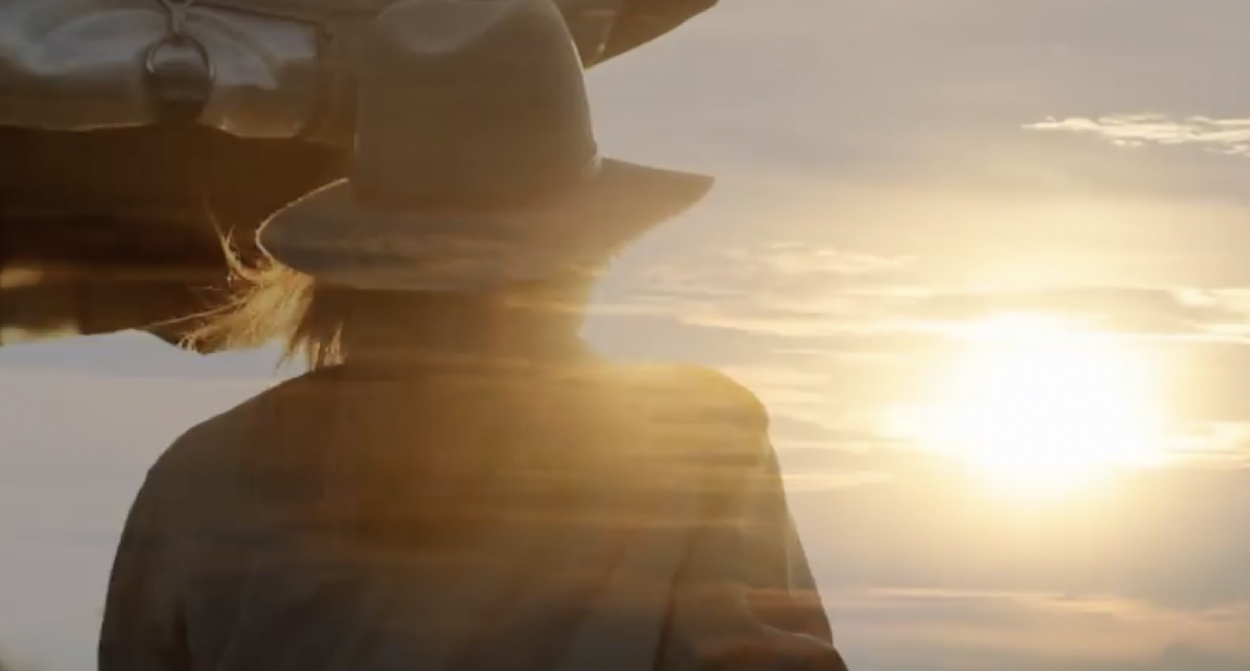 Into the Wild with David Whyte | 2022 | ROAR AFRICA