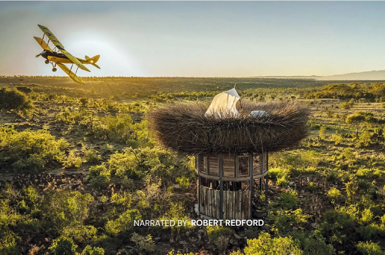 Tipping the scale for a critically endangered species | ROAR AFRICA