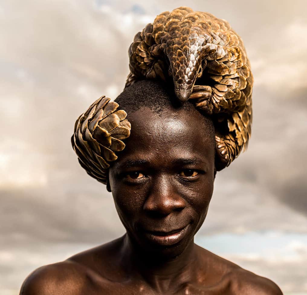 The Plight of the Pangolins - November 21, 2016 | ROAR AFRICA