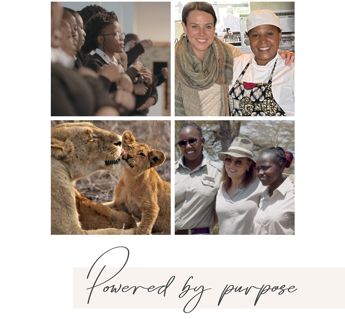 Africa - our home, our source of innate flow | ROAR AFRICA