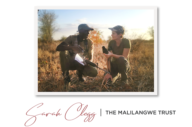 Conservation: the gift that gives forever | ROAR AFRICA