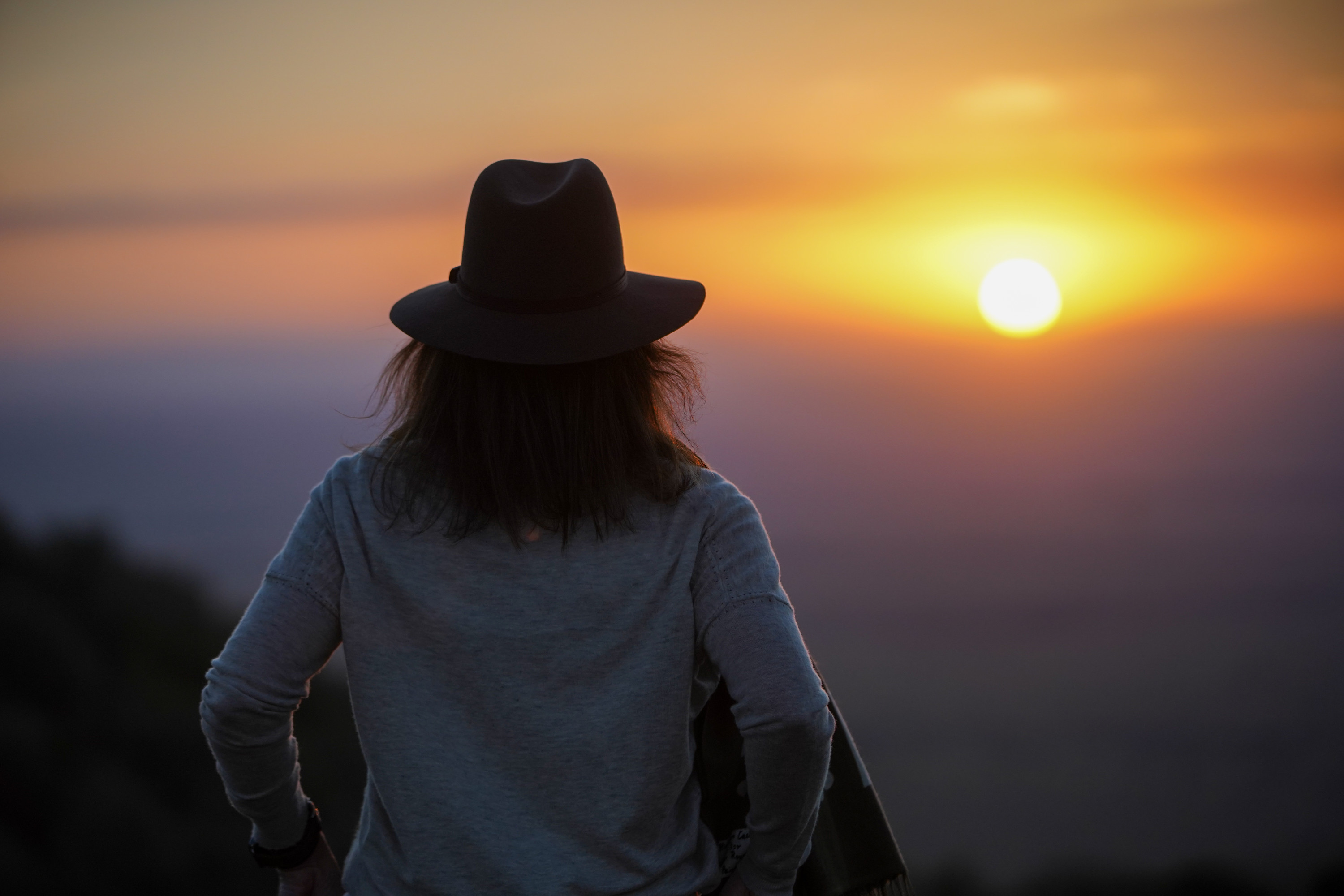 Into the Wild with David Whyte – the journey to rest | ROAR AFRICA