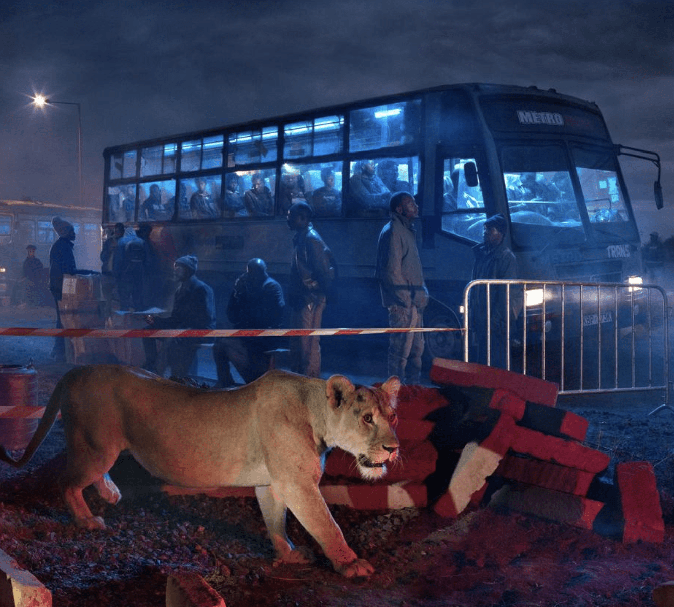 This Empty World by Nick Brandt | ROAR AFRICA