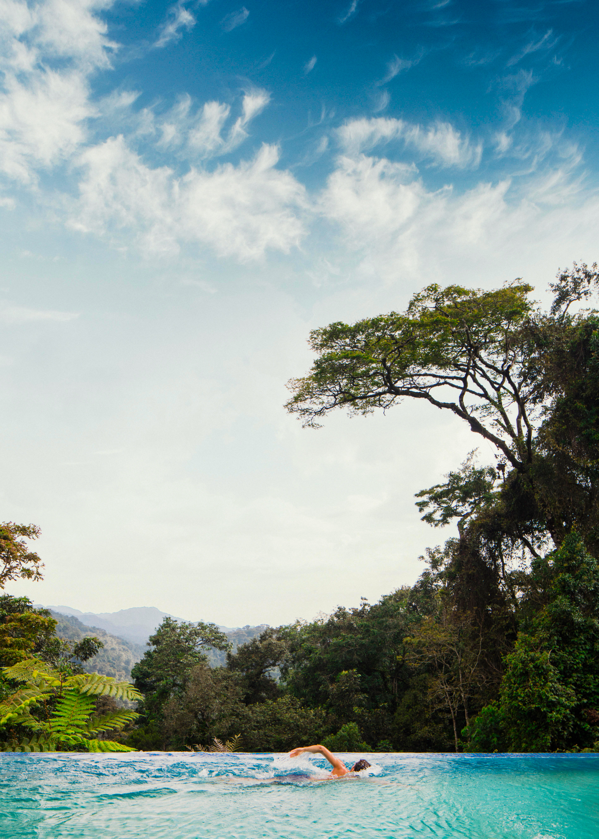 Bespoke Rwanda Safari | Luxury African Safari Lodges | ROAR AFRICA