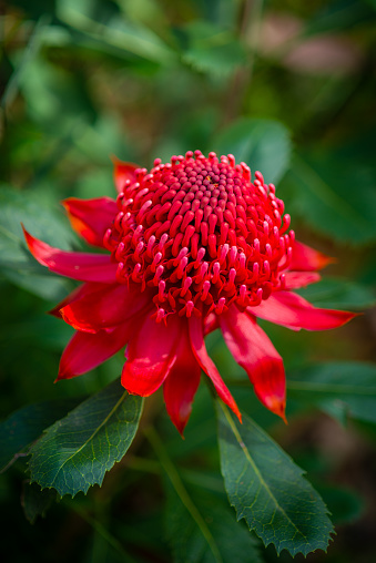 Musgrave well positioned to grow its resources in 2022