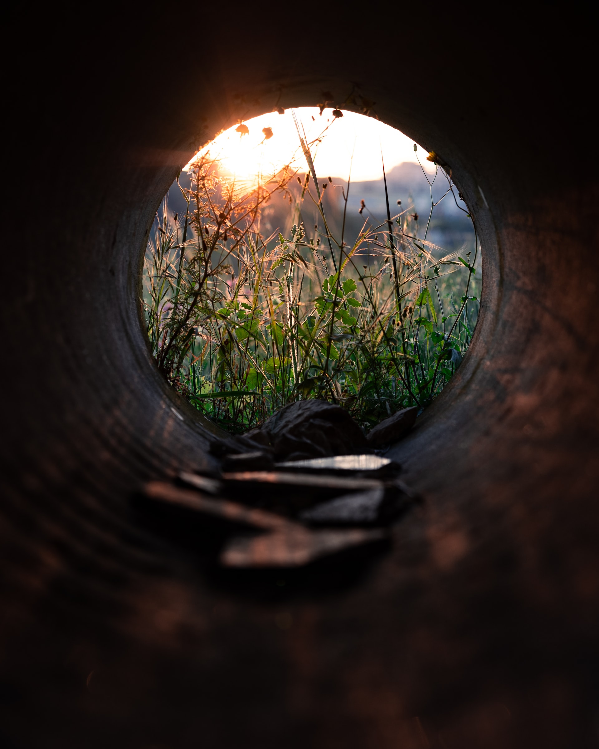 Chalice soars after flagging “material” potential at its Julimar Nickel ...