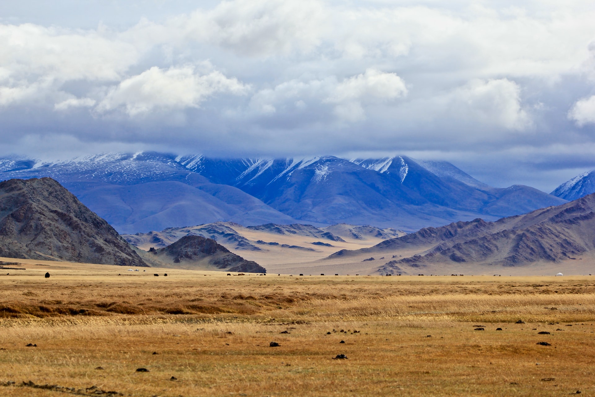 Jade Gas expanding Mongolian CBM acreage, teaming up with Hong Kong ...