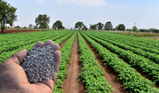 Fertiliser company RLF Agtech lands $1m in a forward sales