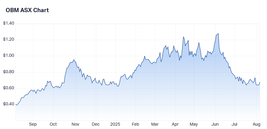 Pilbara Minerals, Lynas Rare Earths, Liontown, WA1 Resources... 2025 ...