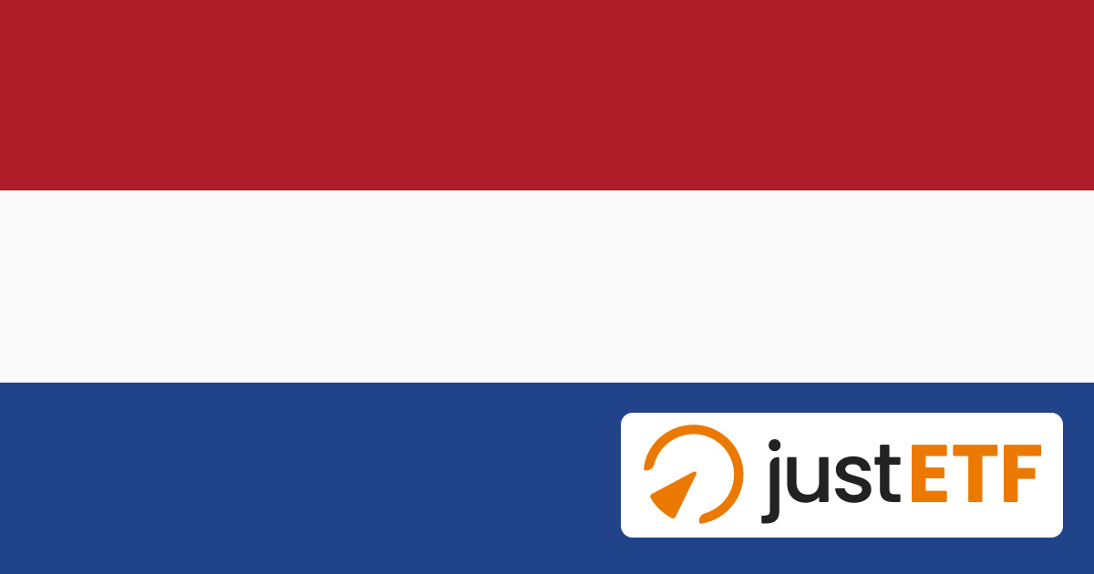 The best Dutch stocks