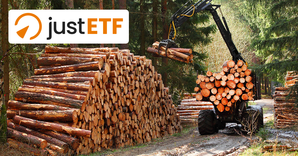 The best Forestry stocks