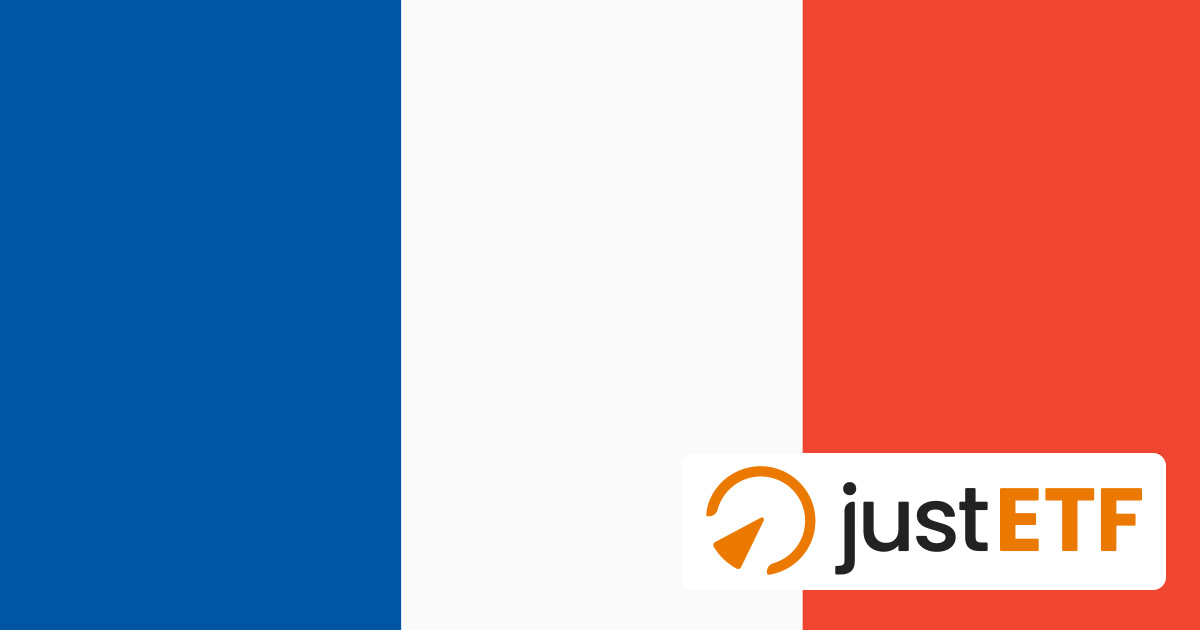 The best French stocks